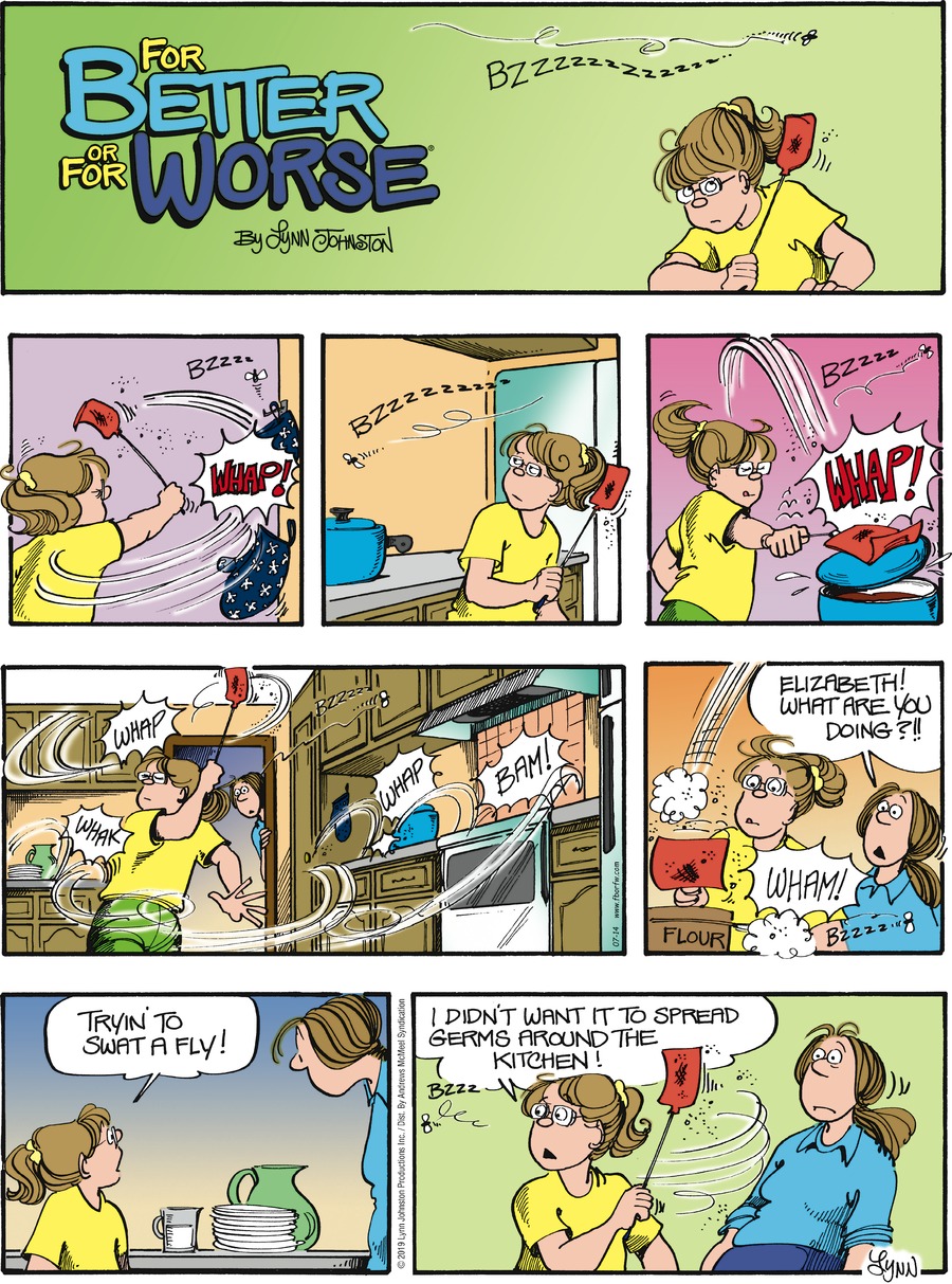 fly swatter Archives - FBorFW Strip Fix